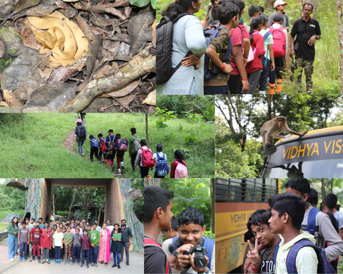 Hiking 2023 - VIDHYA VISHWALAYA Global School of Secondary Education CBSE